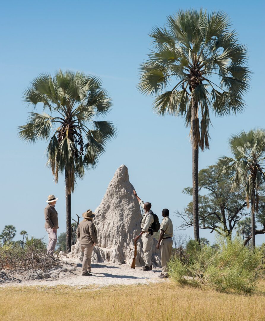 Sandibe & Nxabega Under Canvas | Okavango Delta Safari