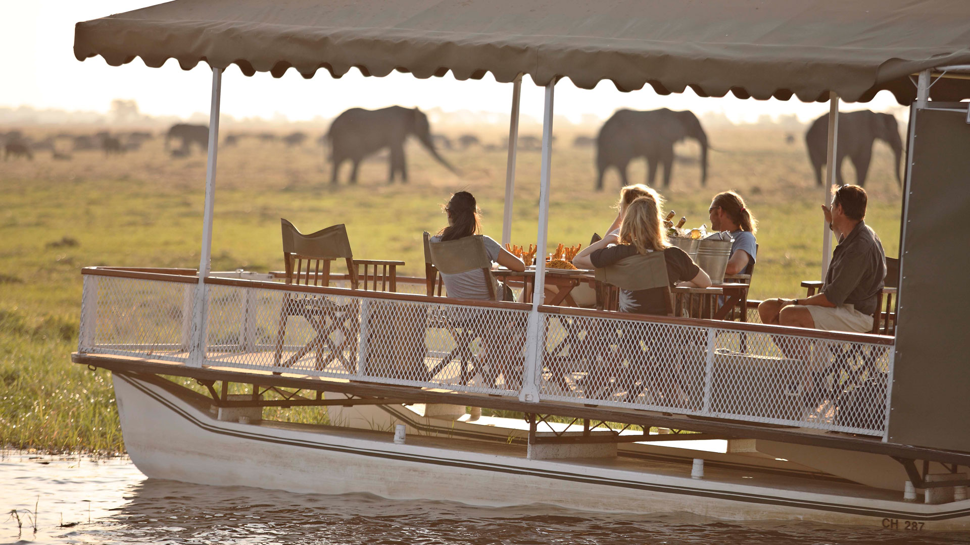 Chobe River Boat Cruise