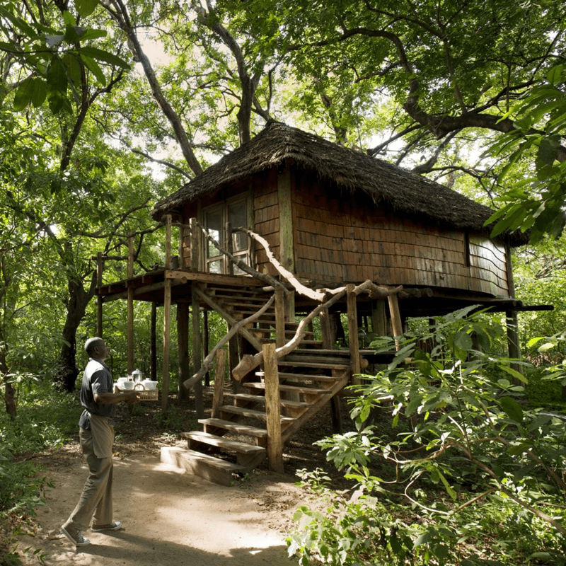 Lake Manyara Tree Lodge