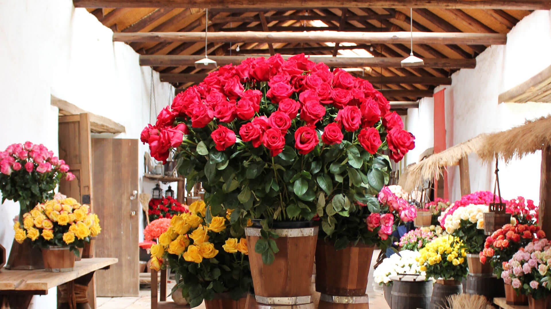 Quito Rose Markets