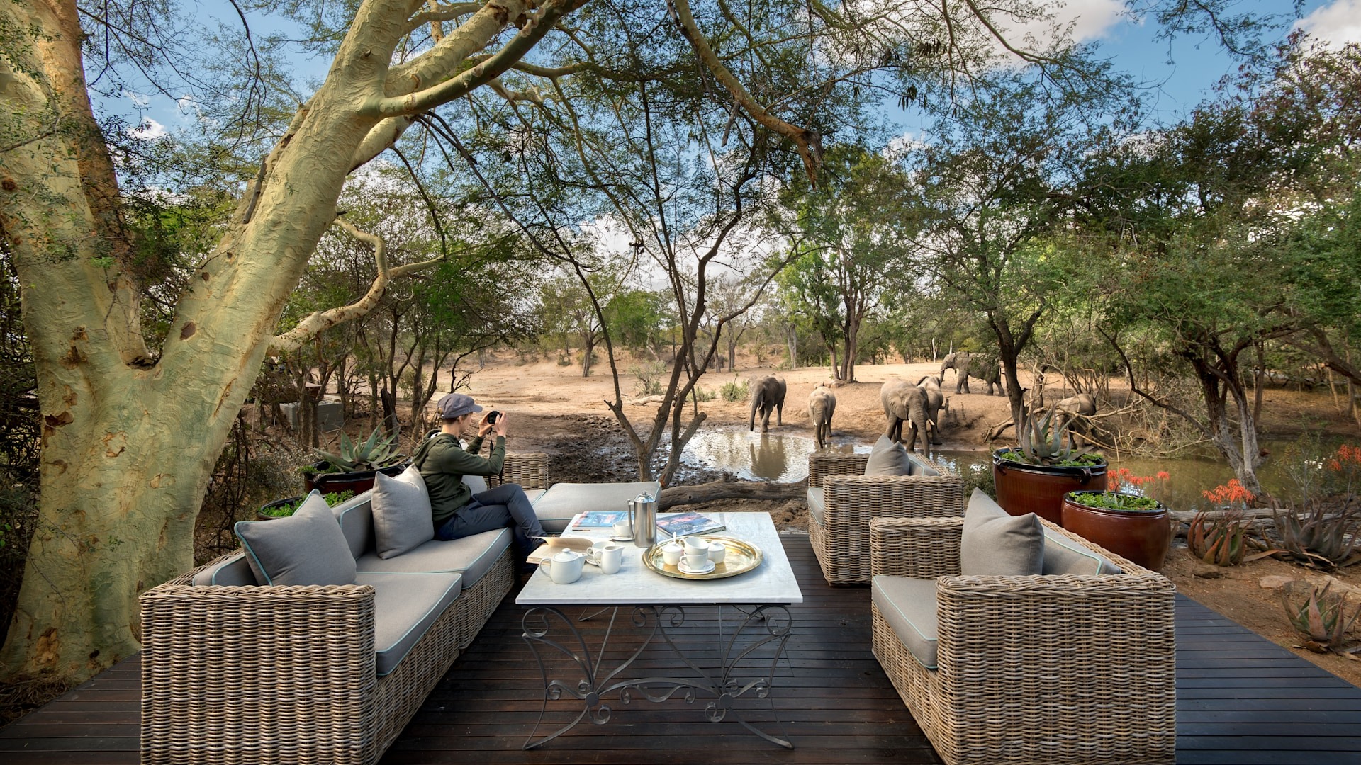 Discover &Beyond Ngala Safari Lodge, South Africa