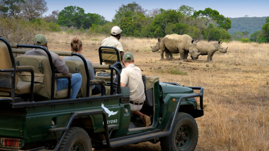 Experiences at Phinda Private Game Reserve, South Africa