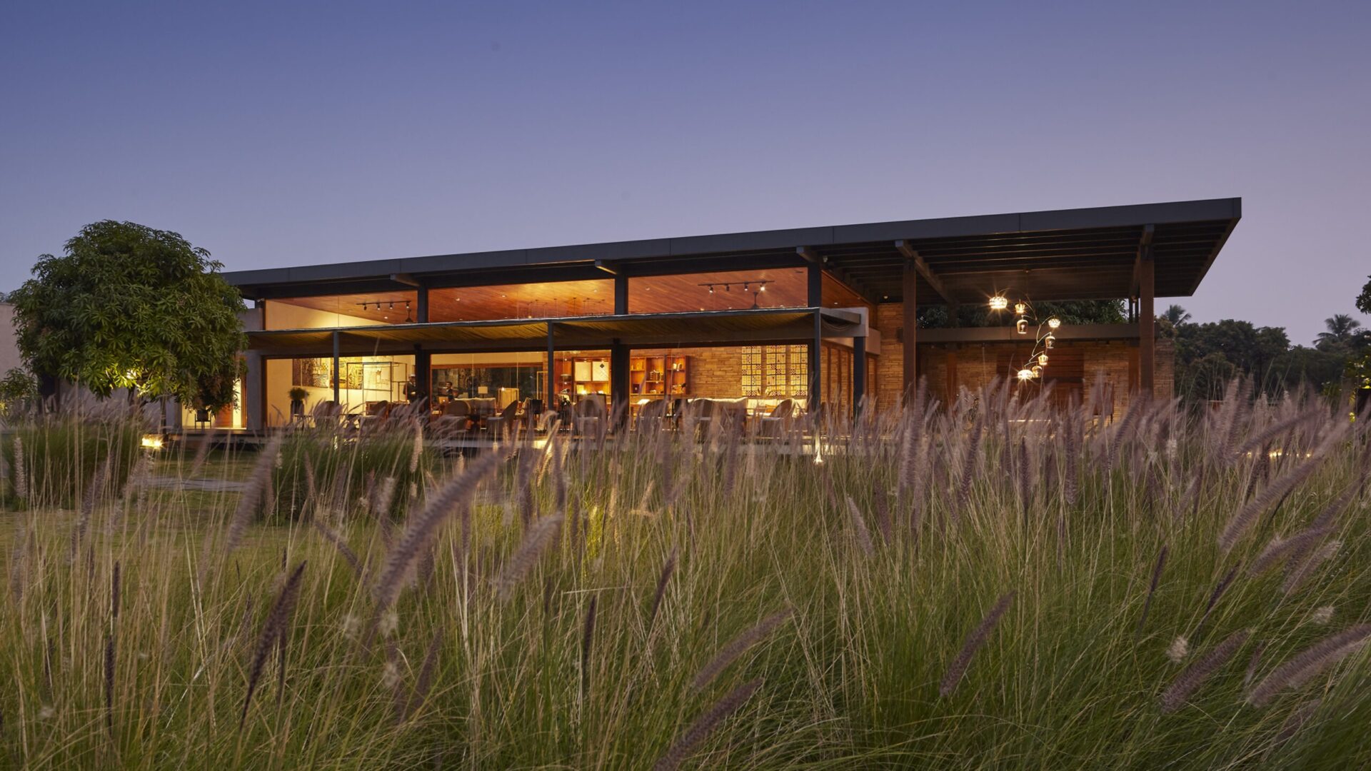 Woods at Sasan | Luxury African Safaris,South America & South Asia ...