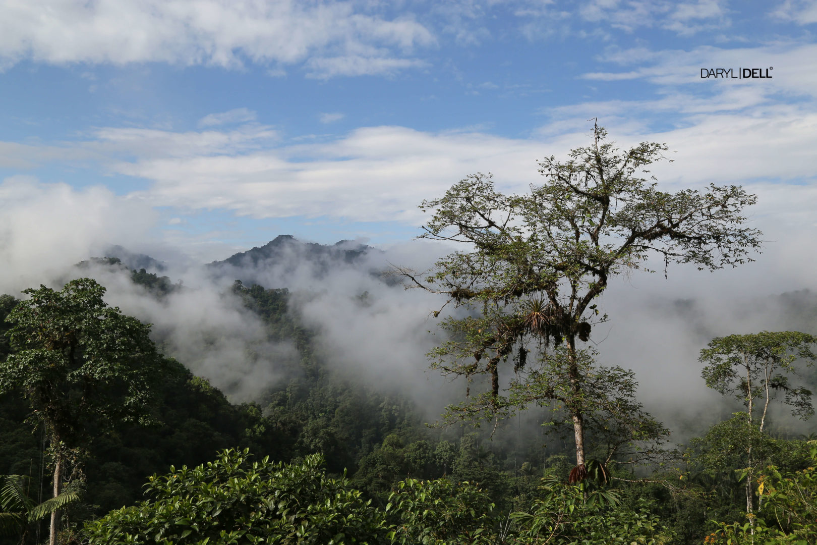 South America Cloud Forest Visit The Cloud Forest On The Inca Trail At