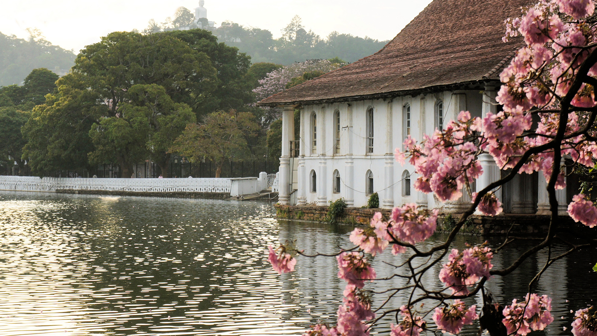 Why Visit Kandy FAQ Sinhalese Kingdom AndBeyond Why Visit Kandy FAQ Sinhalese Kingdom AndBeyond
