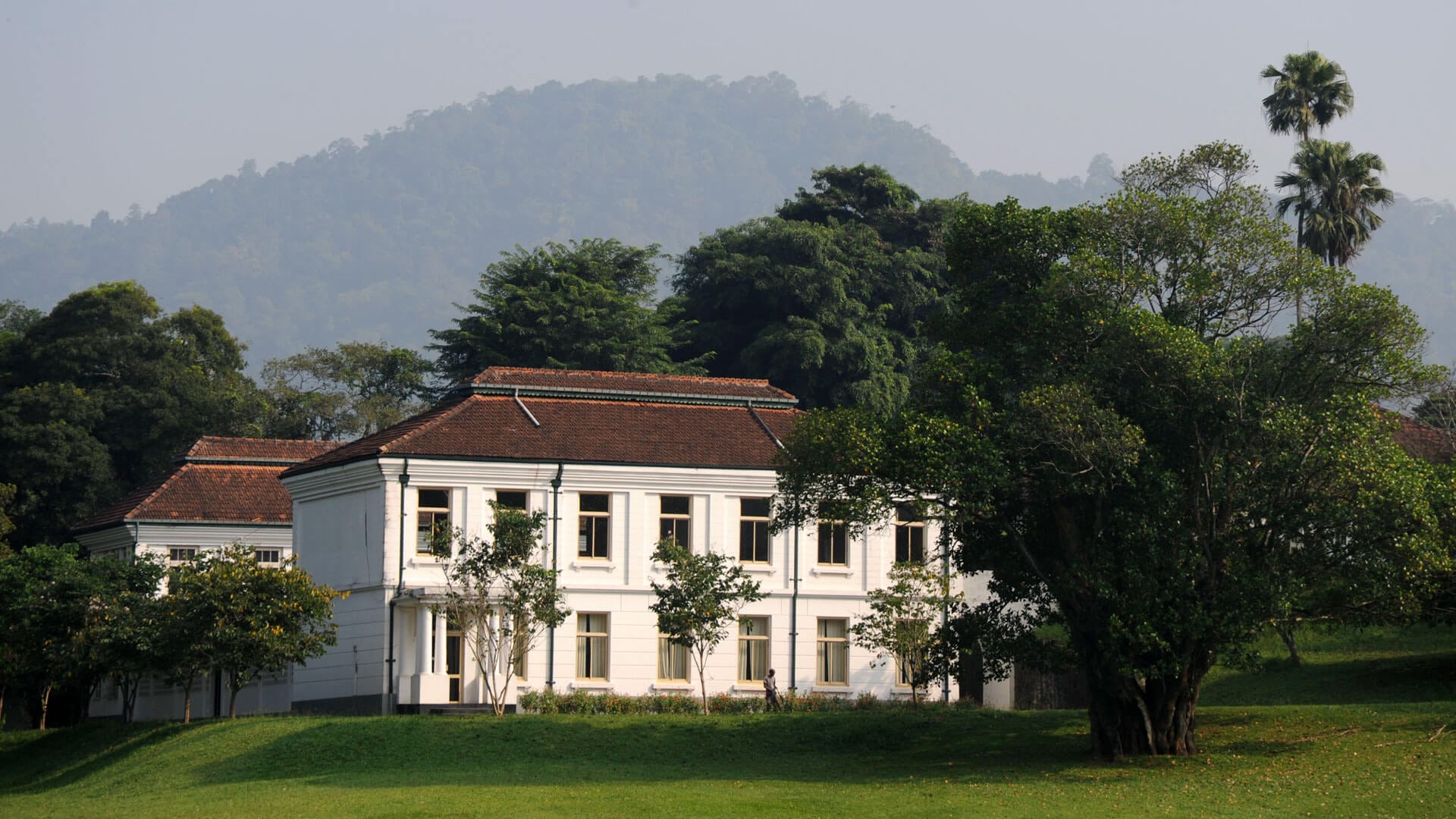 Peradeniya Botanical Garden